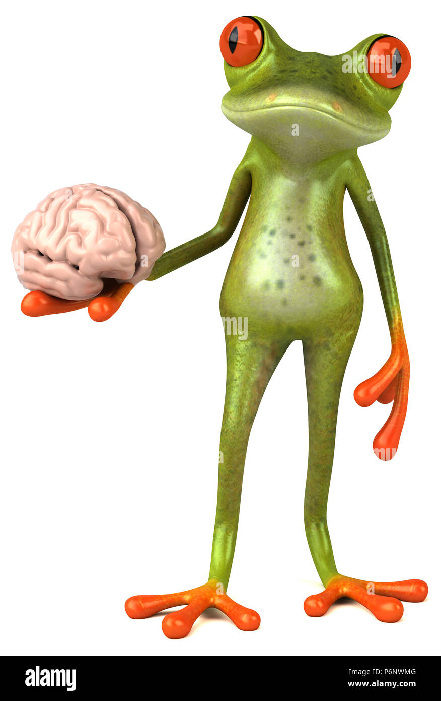 Frog brain Cut Out Stock Images & Pictures - Alamy