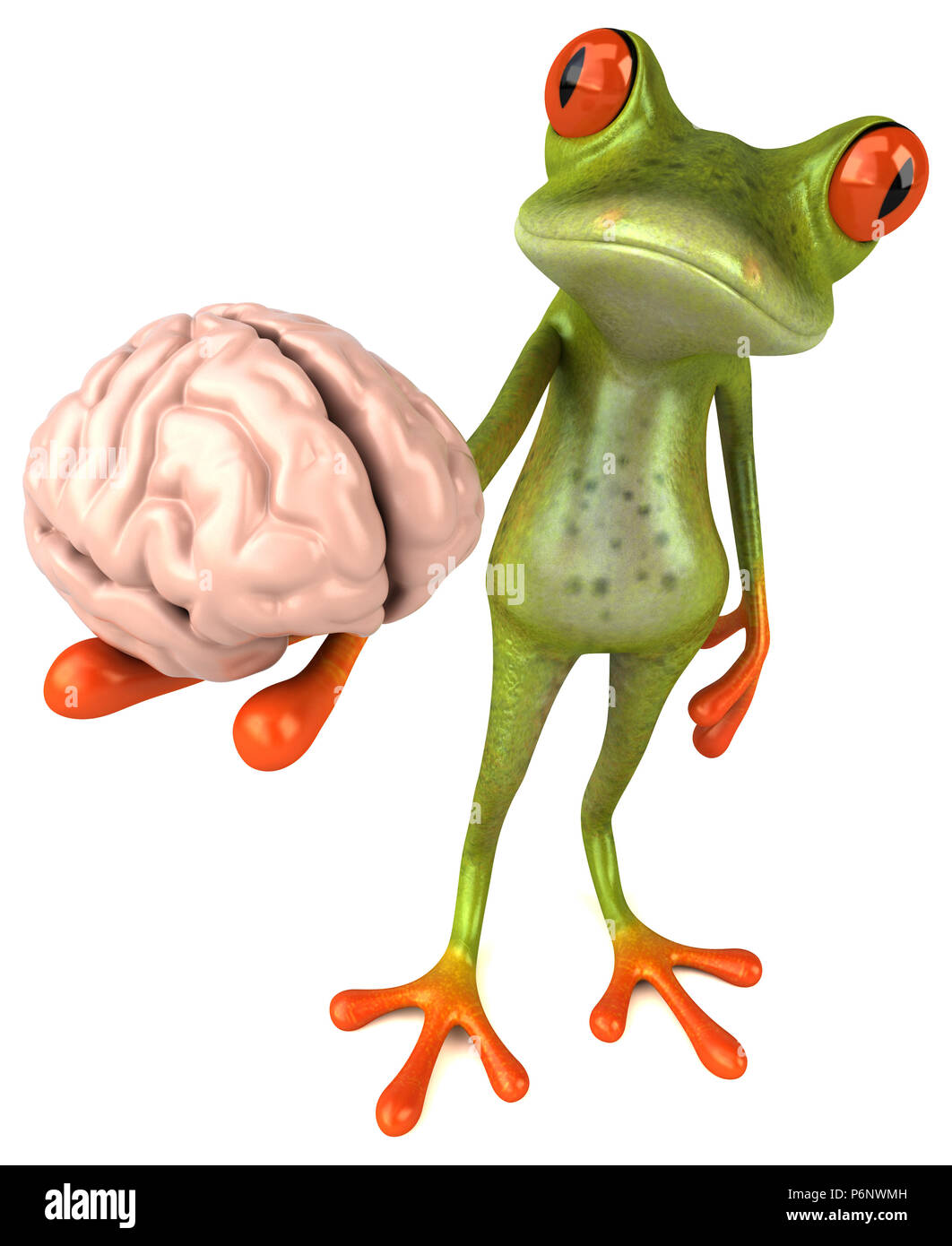 Frog brain Cut Out Stock Images & Pictures - Alamy