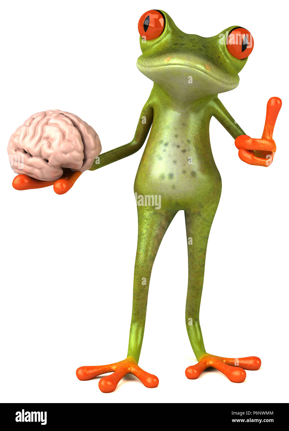 Frog brain Cut Out Stock Images & Pictures - Alamy