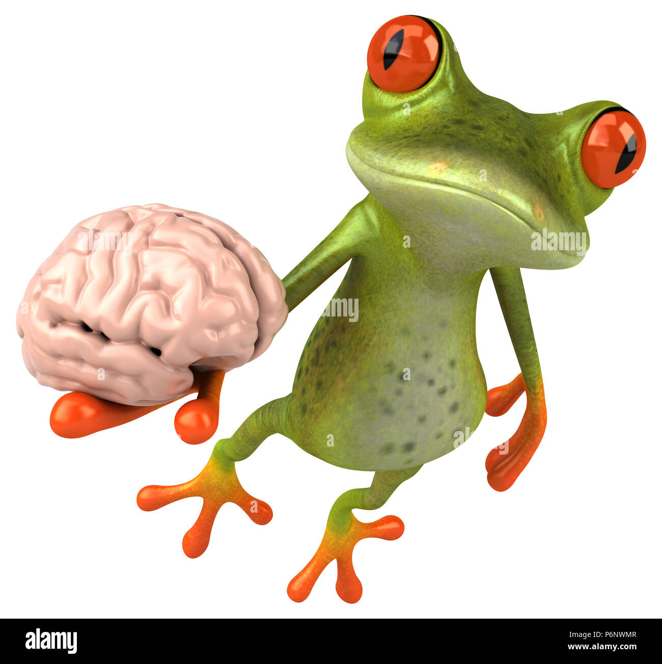 Frog brain Cut Out Stock Images & Pictures - Alamy