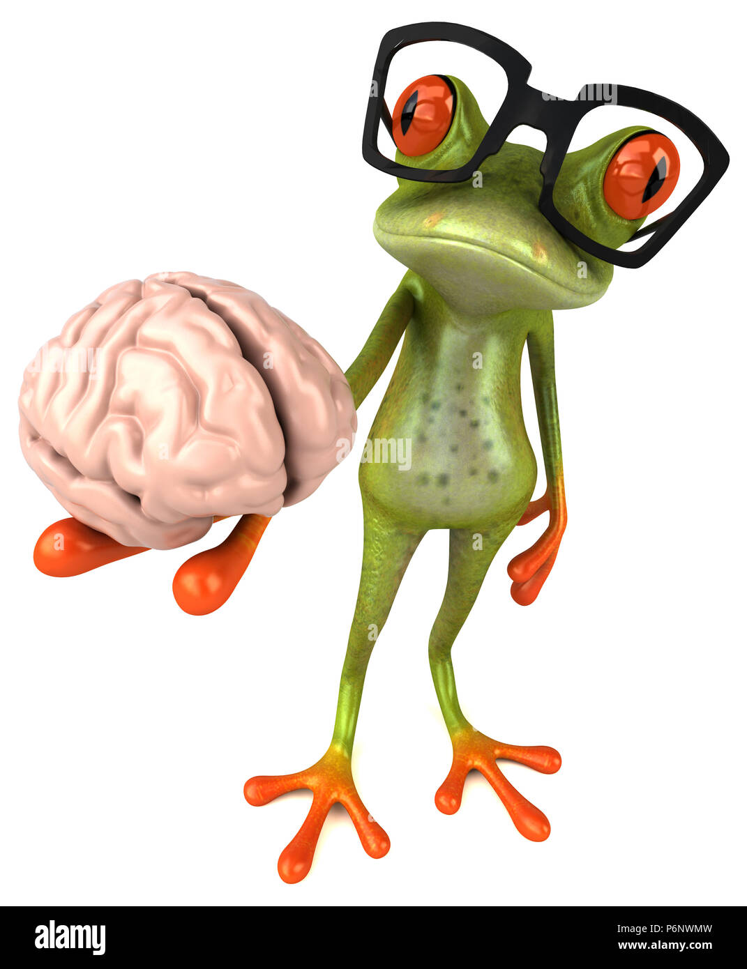 Frog brain Cut Out Stock Images & Pictures - Alamy