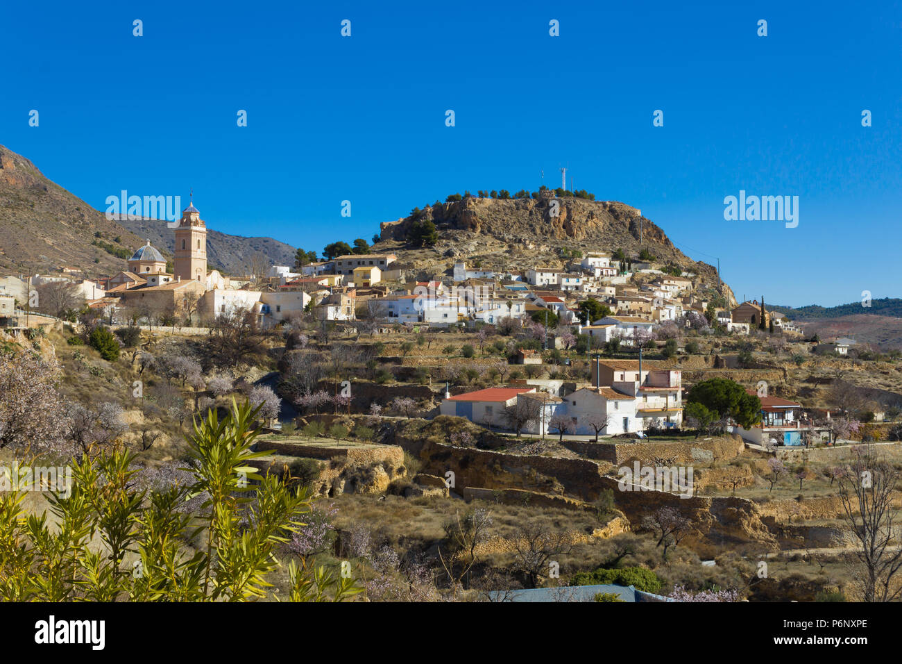 Oria Stock Photos & Oria Stock Images - Alamy