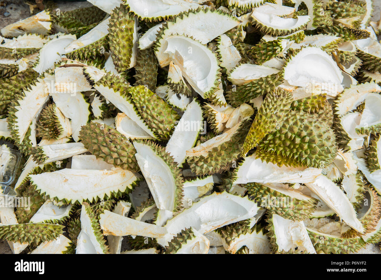 Durian peel Prepare to make fertilizer Stock Photo - Alamy