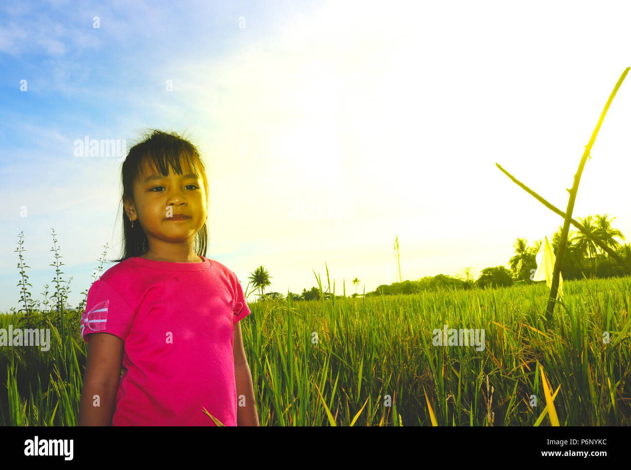 Girls in the middle of rice fields Stock Photo - Alamy