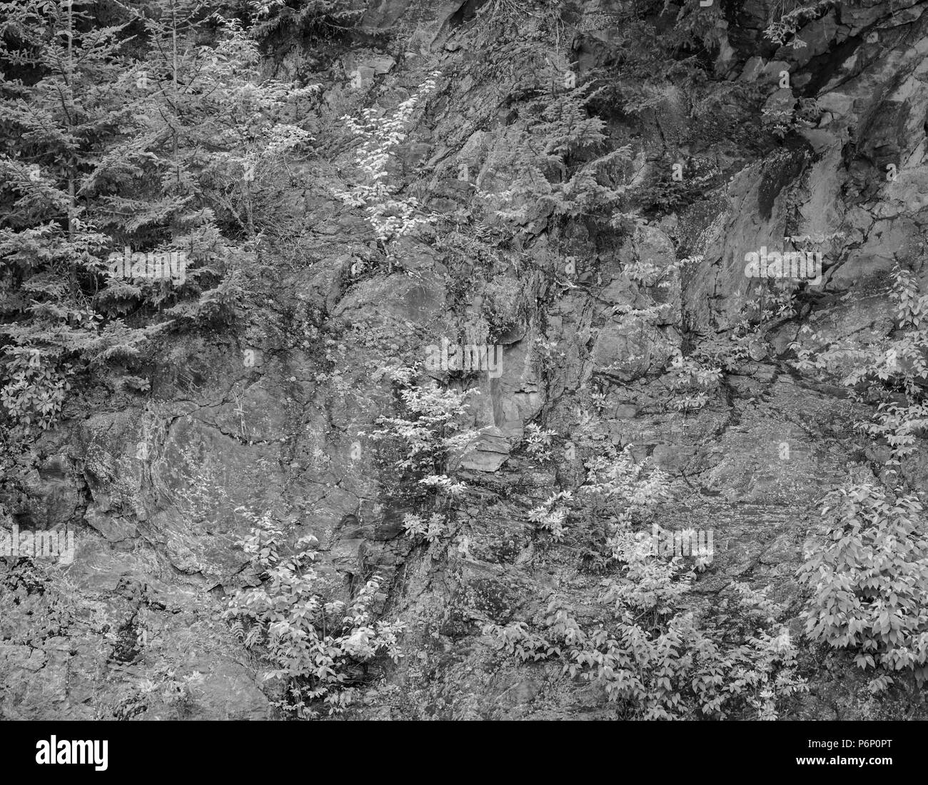 Aircraft texture Black and White Stock Photos & Images - Alamy