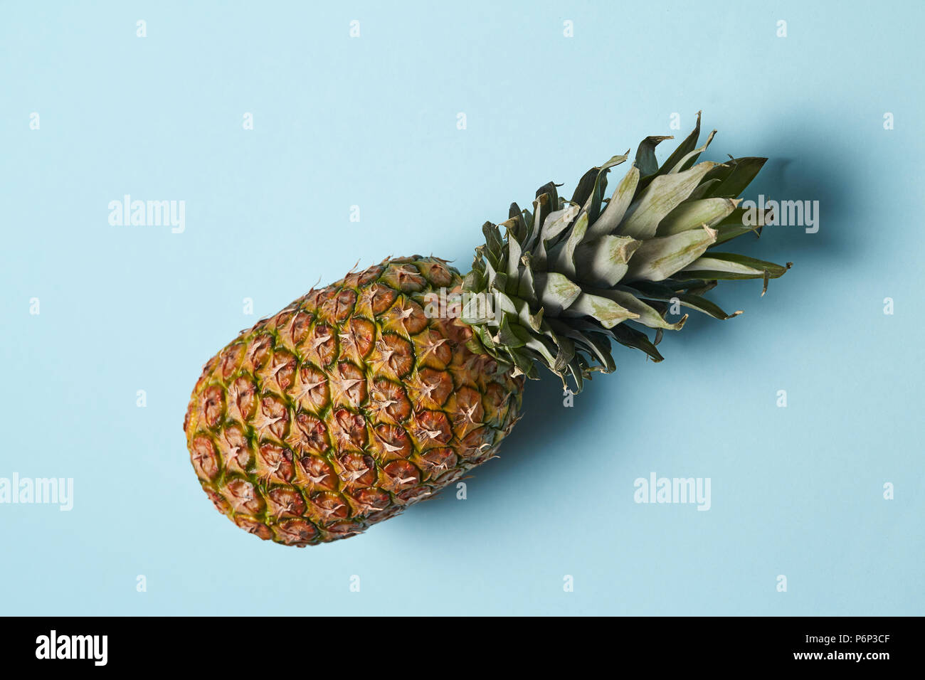 A juicy fresh green pineapple with a tail is isolated on a blue ...