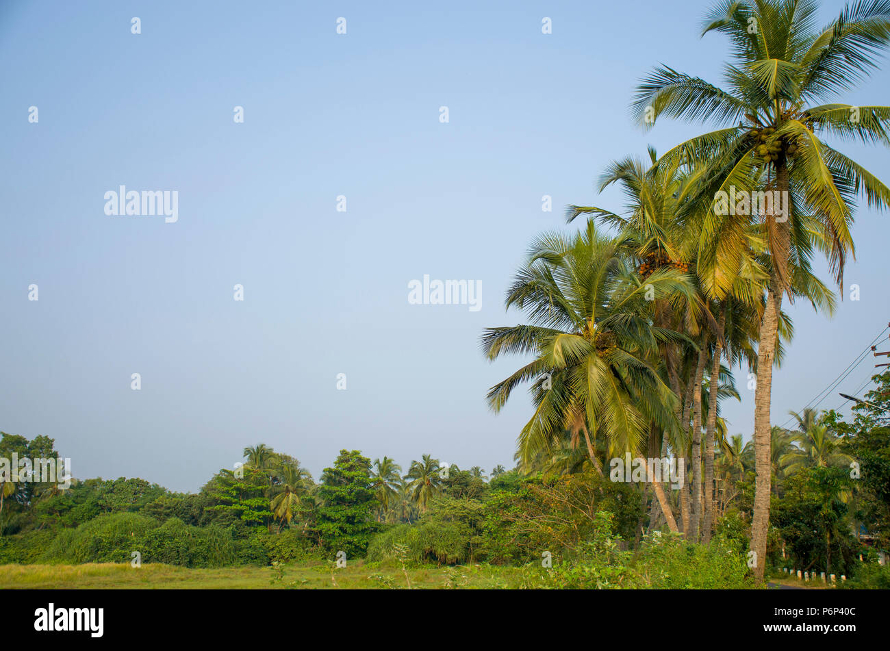 Beautiful tropical landscape in India Stock Photo - Alamy