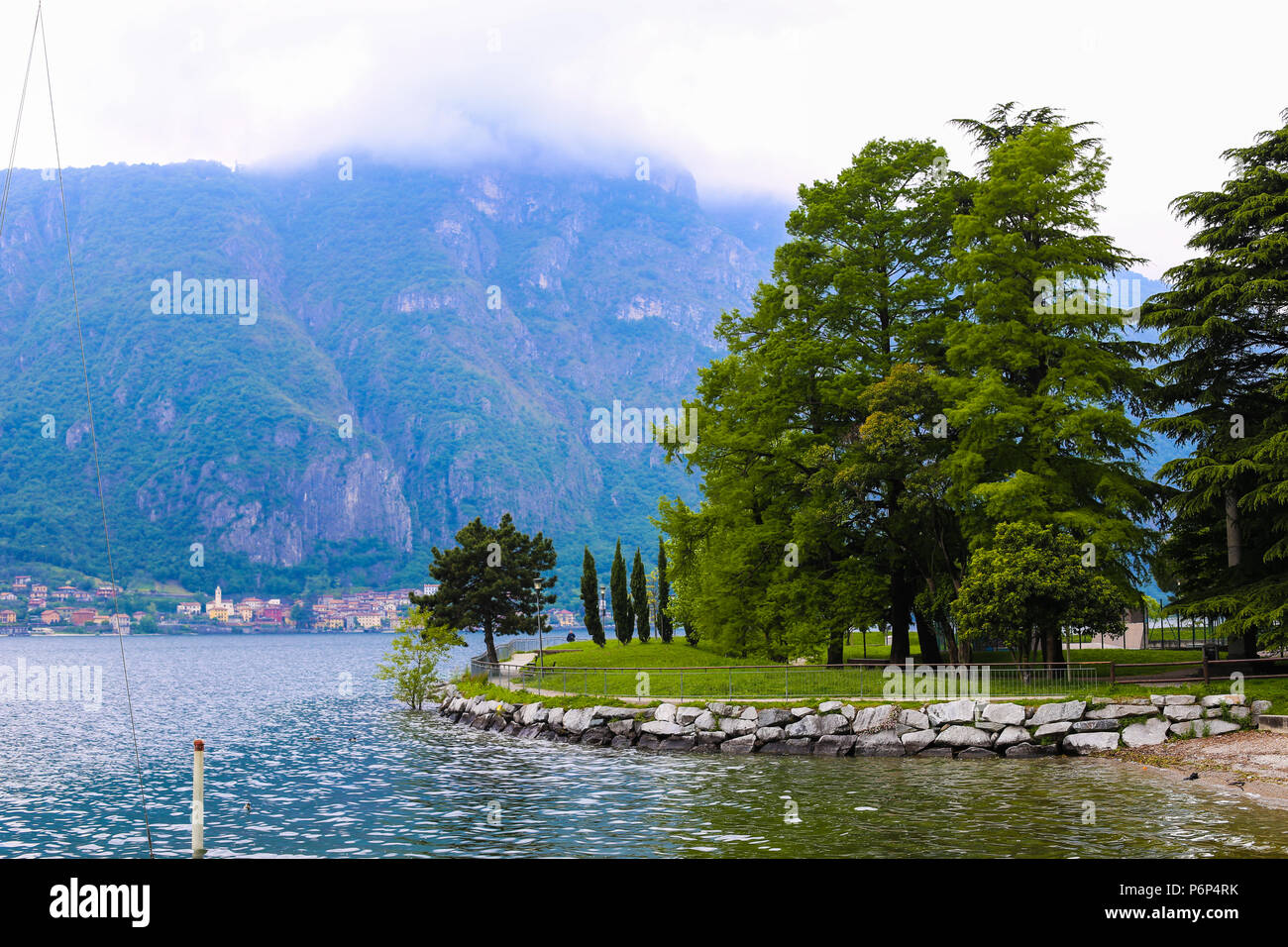Green trees near lake Como in Mandello del Lario and Alps mountain in ...