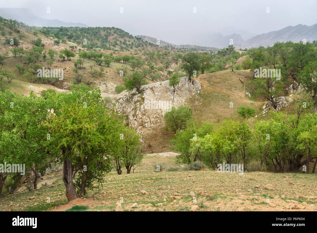 Lorestan province hi-res stock photography and images - Alamy