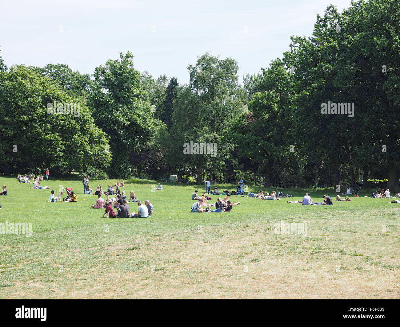 Irish botanic gardens hi-res stock photography and images - Alamy