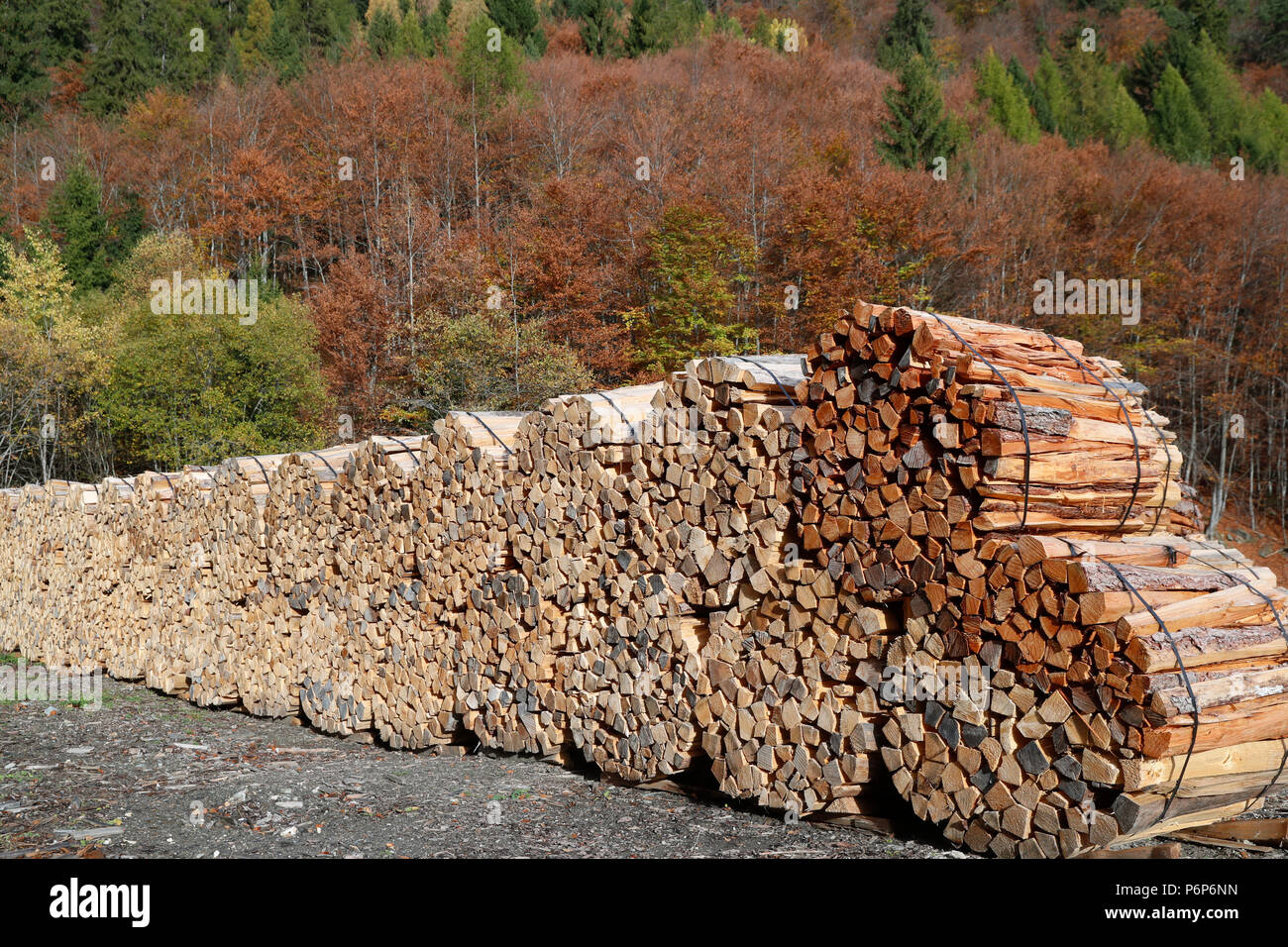 Switzerland log hi-res stock photography and images - Alamy