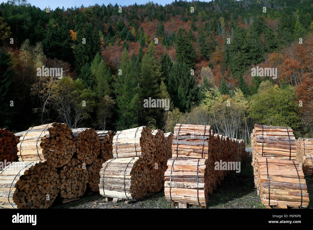 Switzerland log hi-res stock photography and images - Alamy