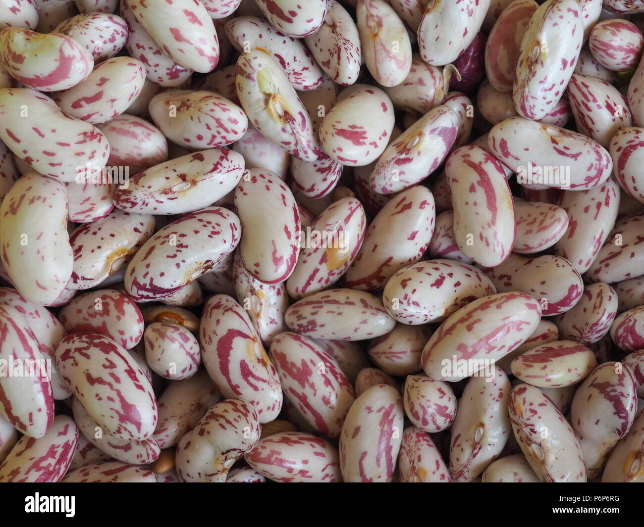Phaseolus vulgaris ‘borlotti’ hi-res stock photography and images - Alamy