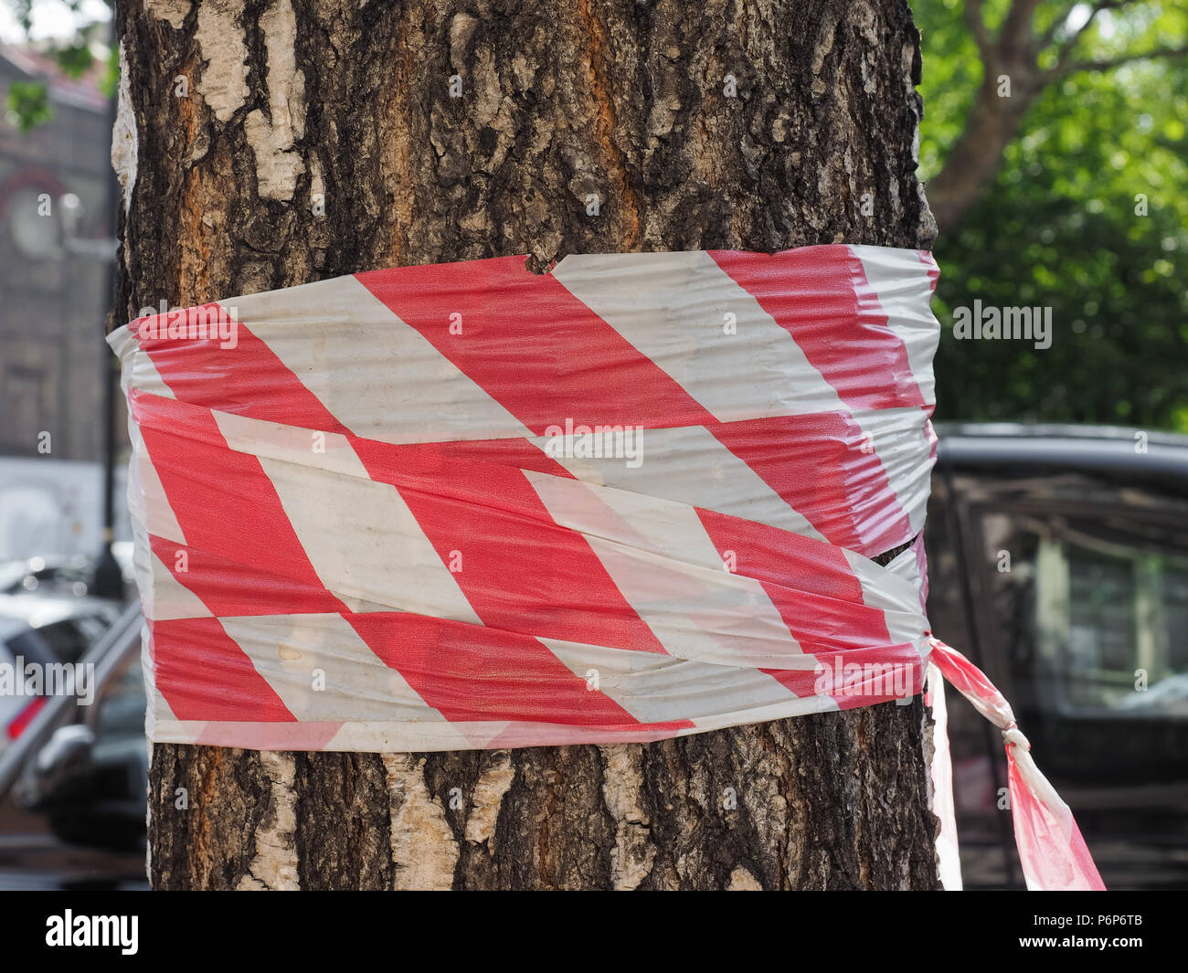 tree trunk with barricade tape signalling danger Stock Photo - Alamy