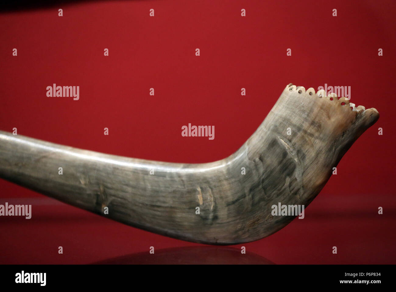 Jewish Museum of Switzerland. Basel. Shofar Stock Photo - Alamy