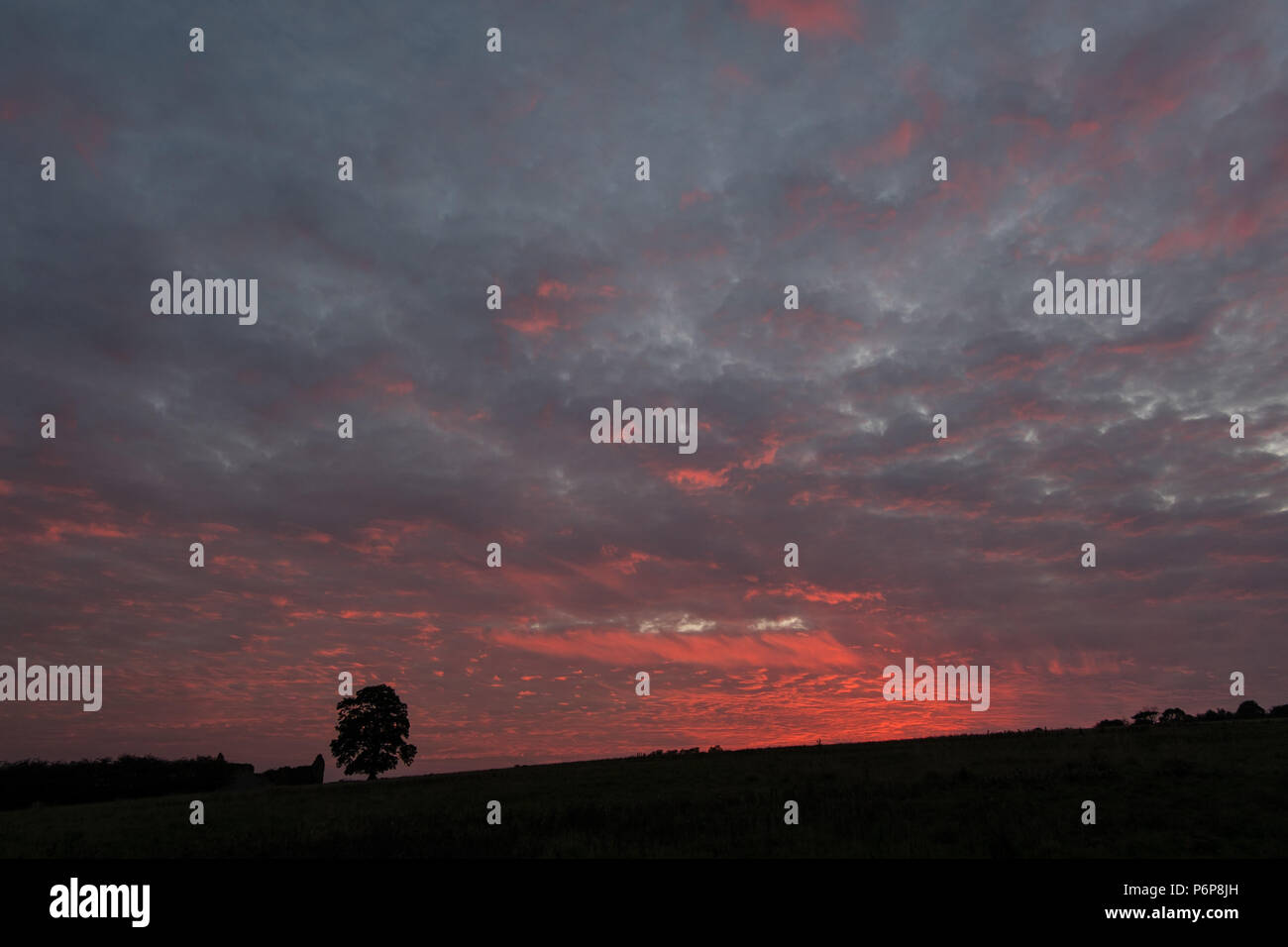 Sunset at Pitsford Water Stock Photo - Alamy