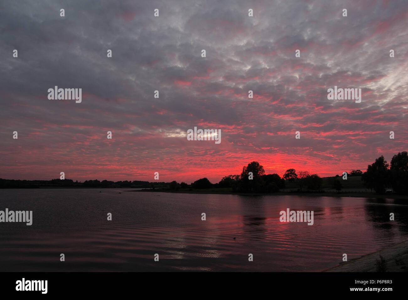 Sunset at Pitsford Water Stock Photo - Alamy