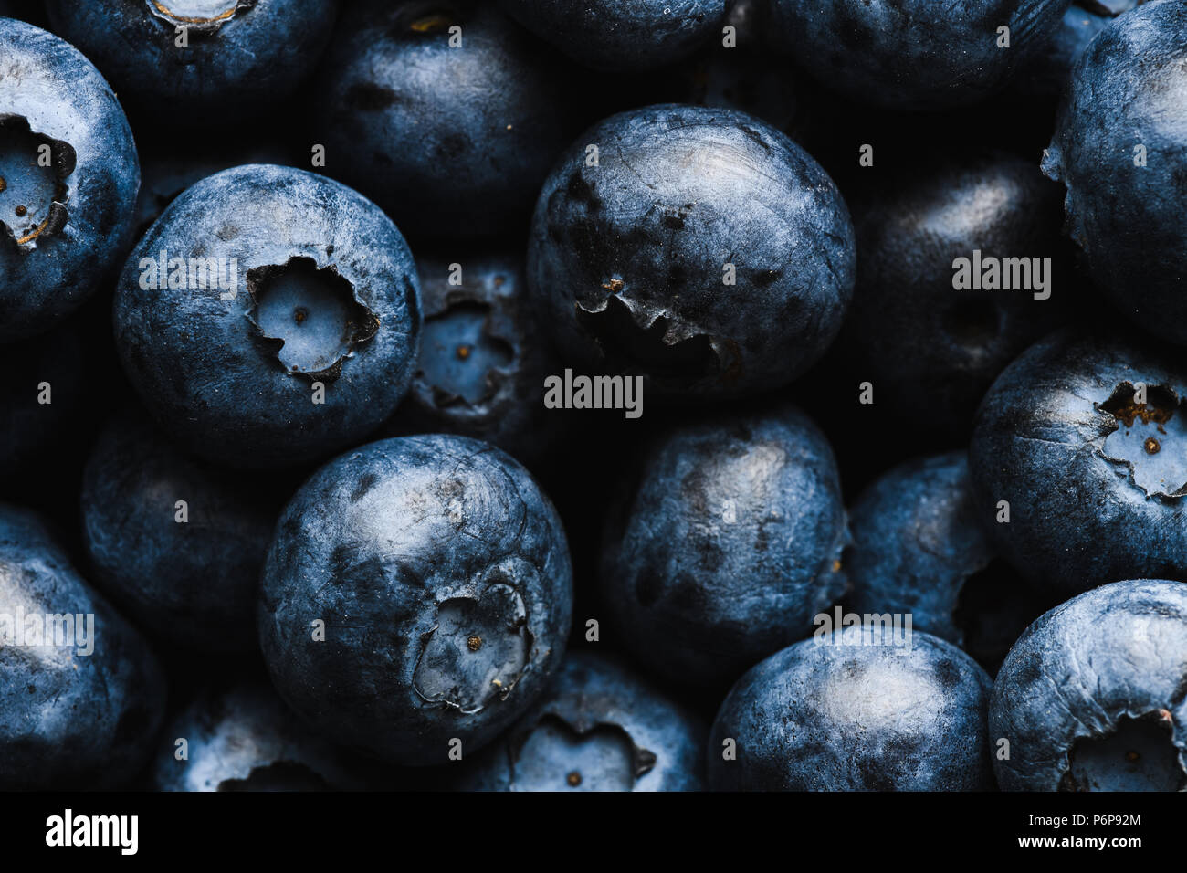 Fresh blueberry with water drops Stock Photo - Alamy