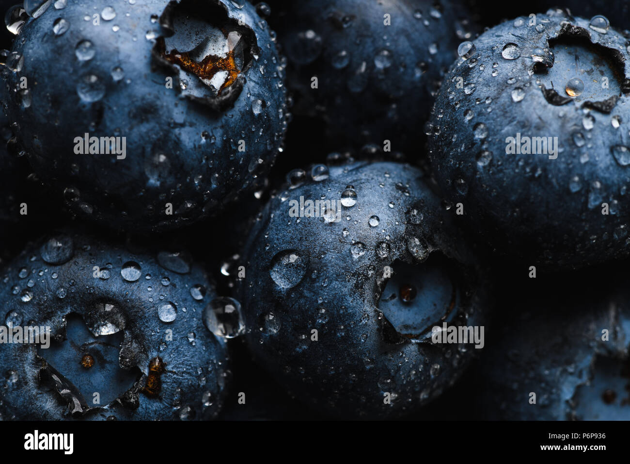 Fresh blueberry with water drops Stock Photo - Alamy