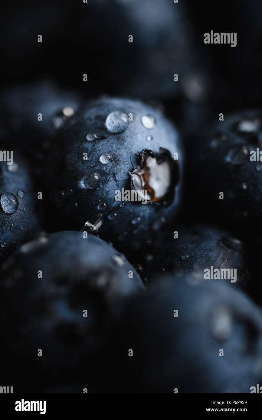 Fresh blueberry with water drops Stock Photo - Alamy