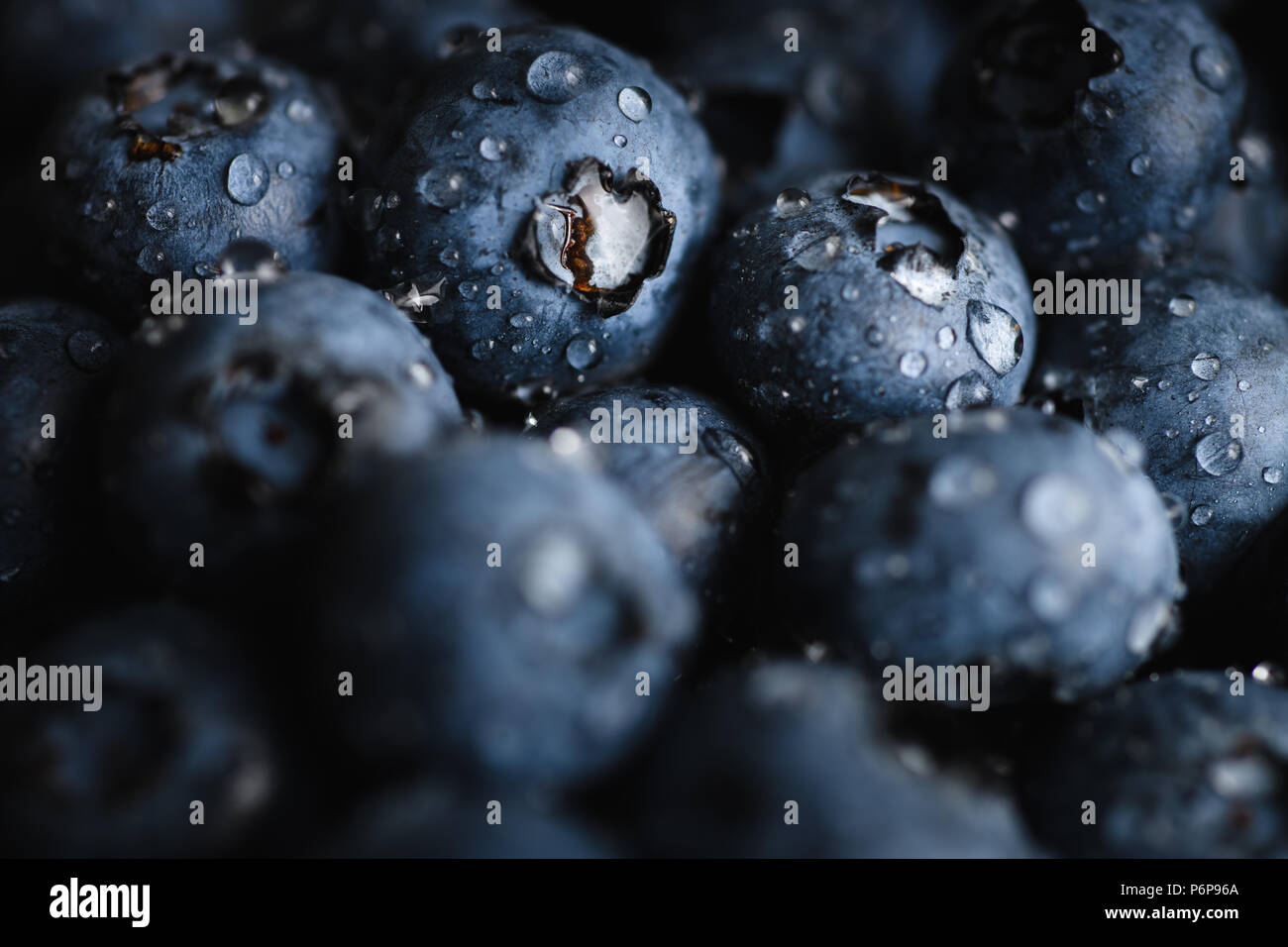 Fresh blueberry with water drops Stock Photo - Alamy