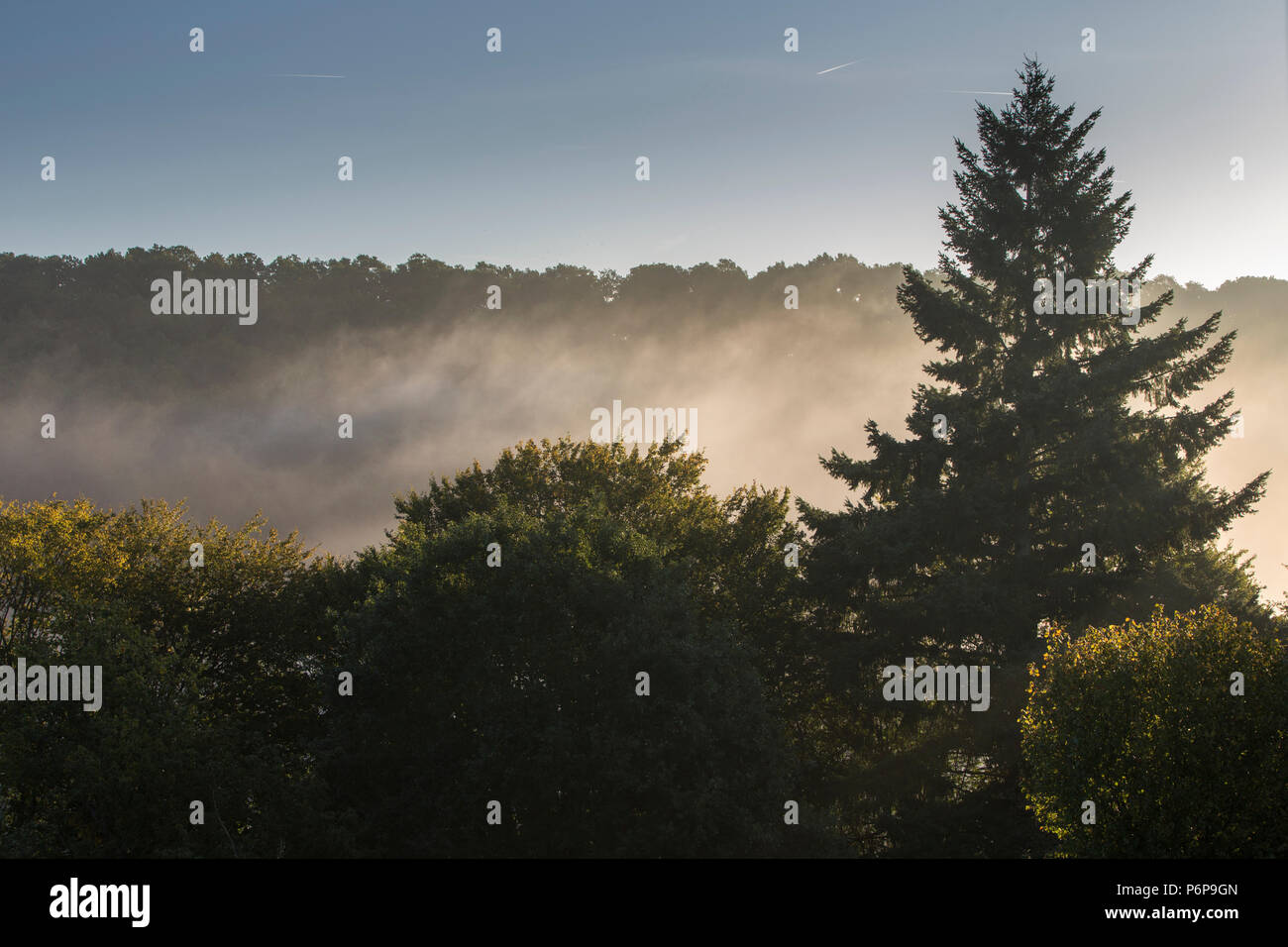 France normandy forest hi-res stock photography and images - Alamy