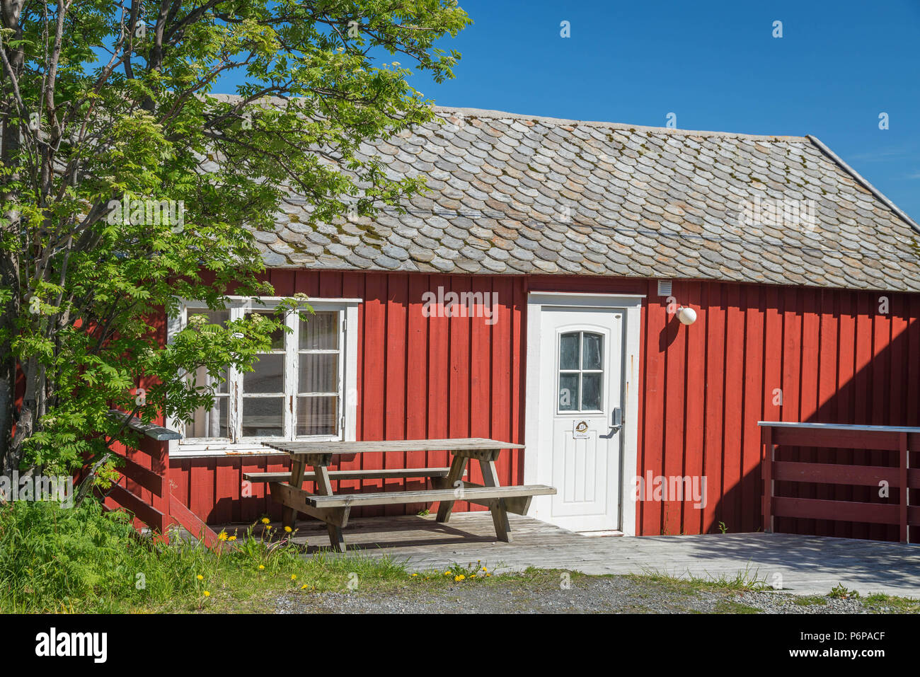 Traditional hut in Reine, Nordland, Norway Stock Photo - Alamy