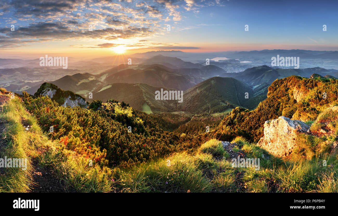 Mountain forest landscape under evening sky with clouds in sunlight ...