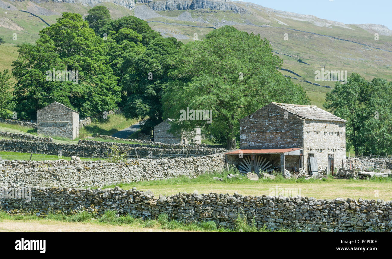 Walls and barns above Askrigg in the Yorkshire Dales Stock Photo - Alamy
