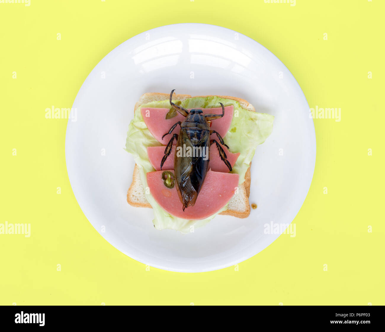 Giant water bug dish hi-res stock photography and images - Alamy