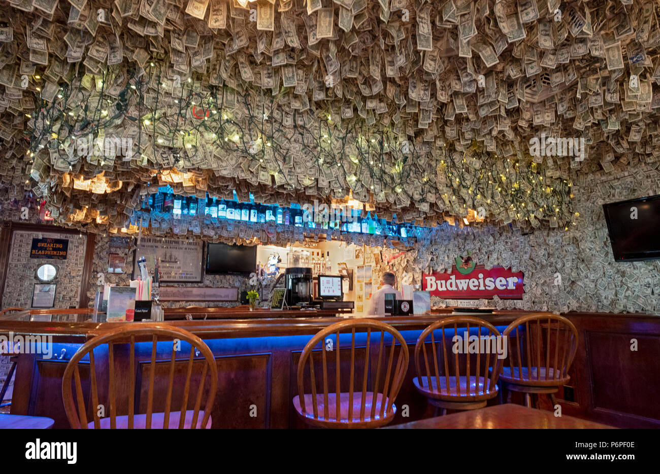Thousands of bills hanging at the Moby Dick Pub at the Bayside Resort ...