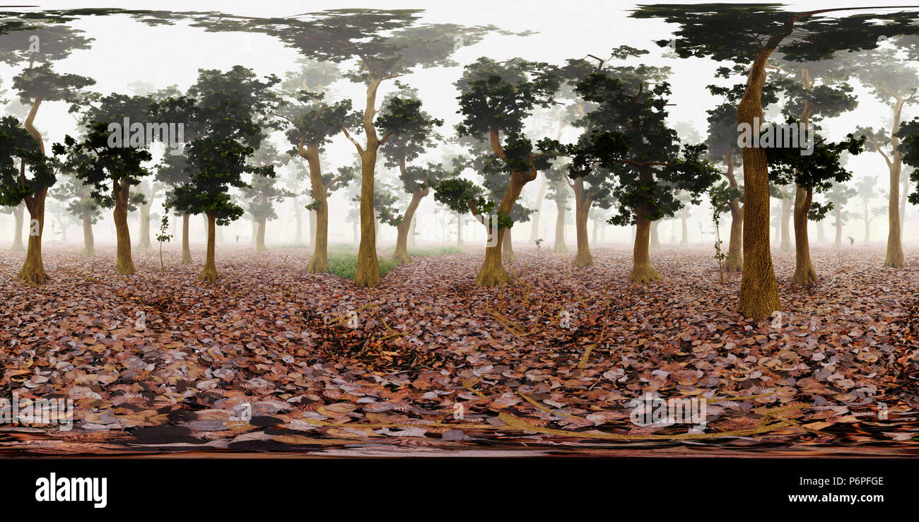 HDRI map, spherical environment panorama background, misty forest light ...