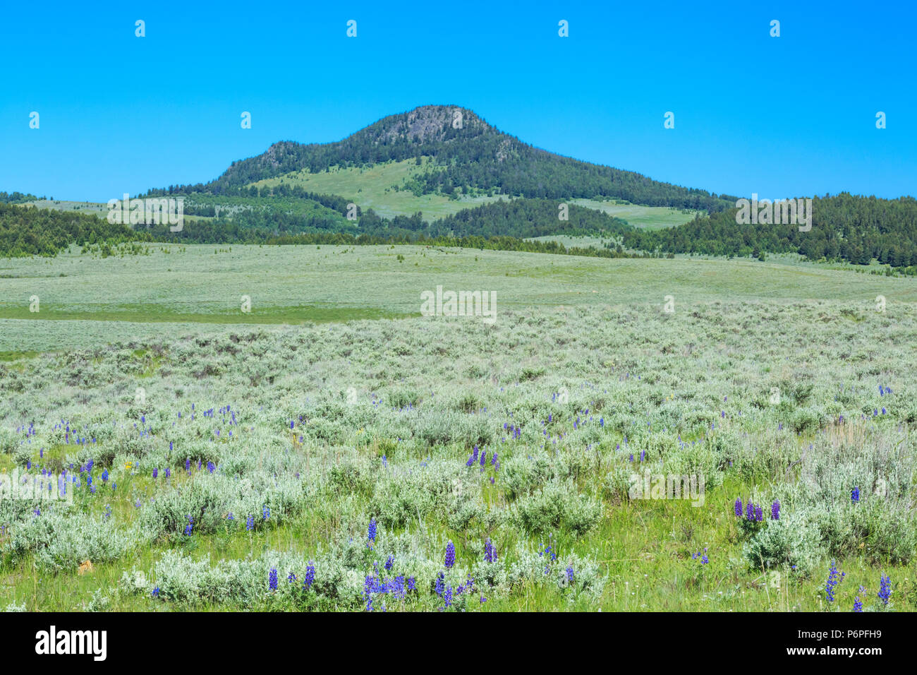 Black butte mine hi-res stock photography and images - Alamy