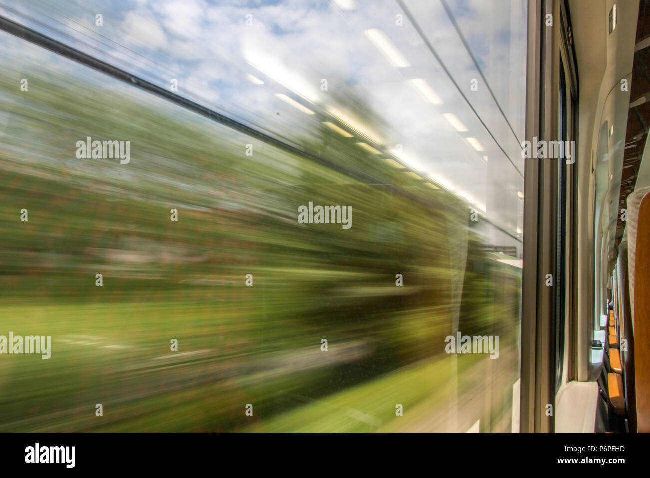 a view out from the window of a train. The green nature is running ...