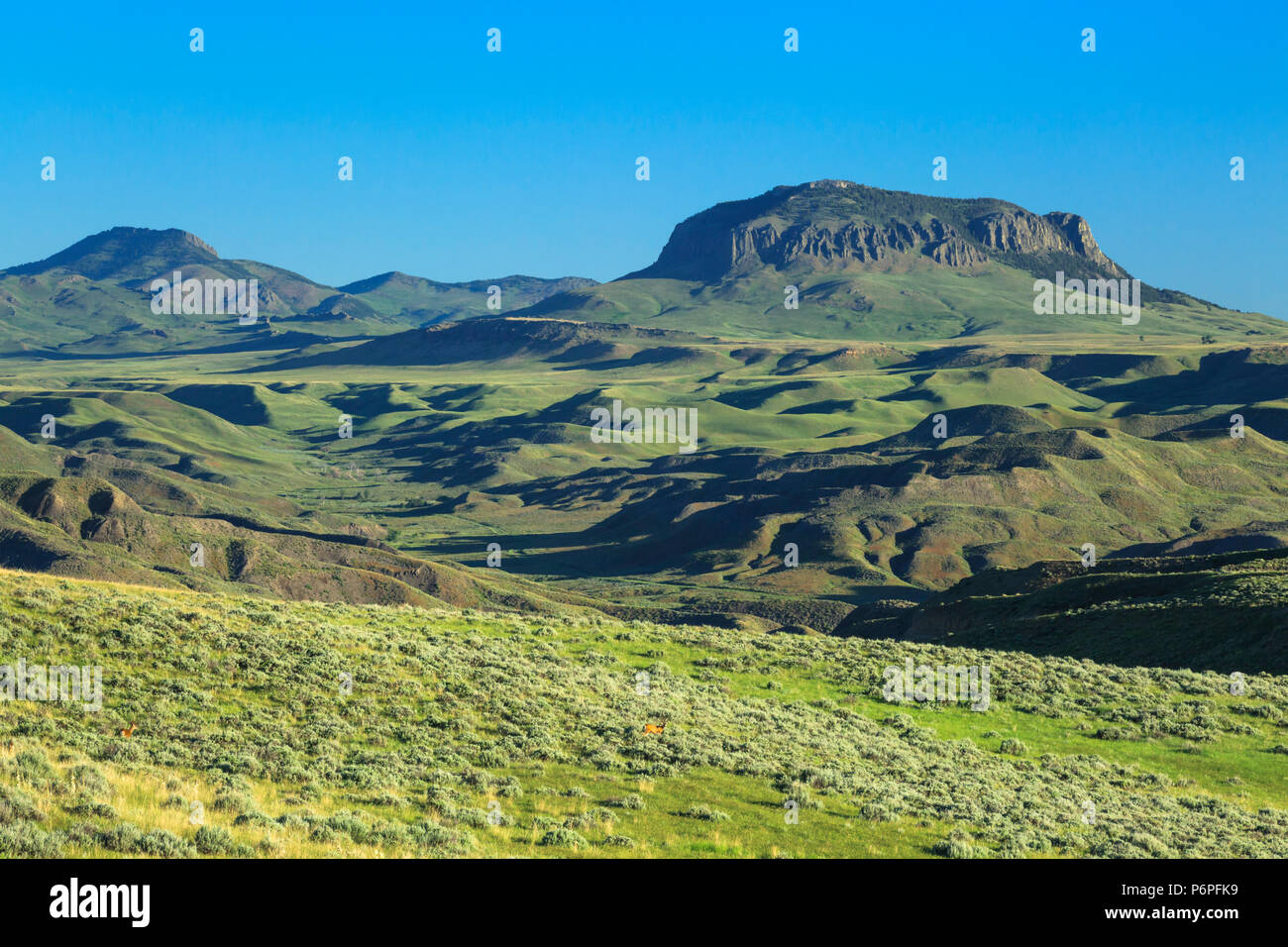 Mt d4516 hi-res stock photography and images - Alamy