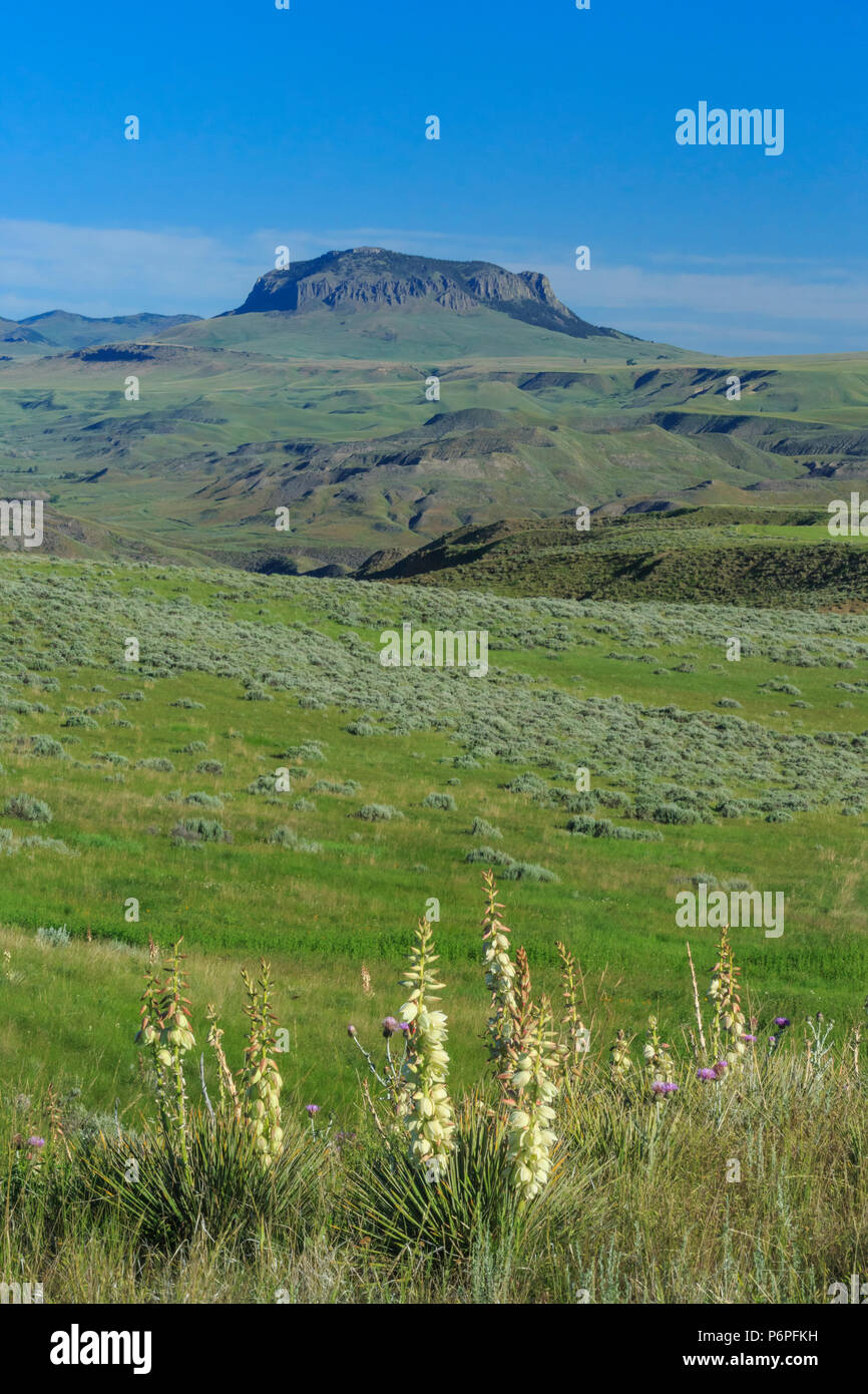 Mt d4165 hi-res stock photography and images - Alamy