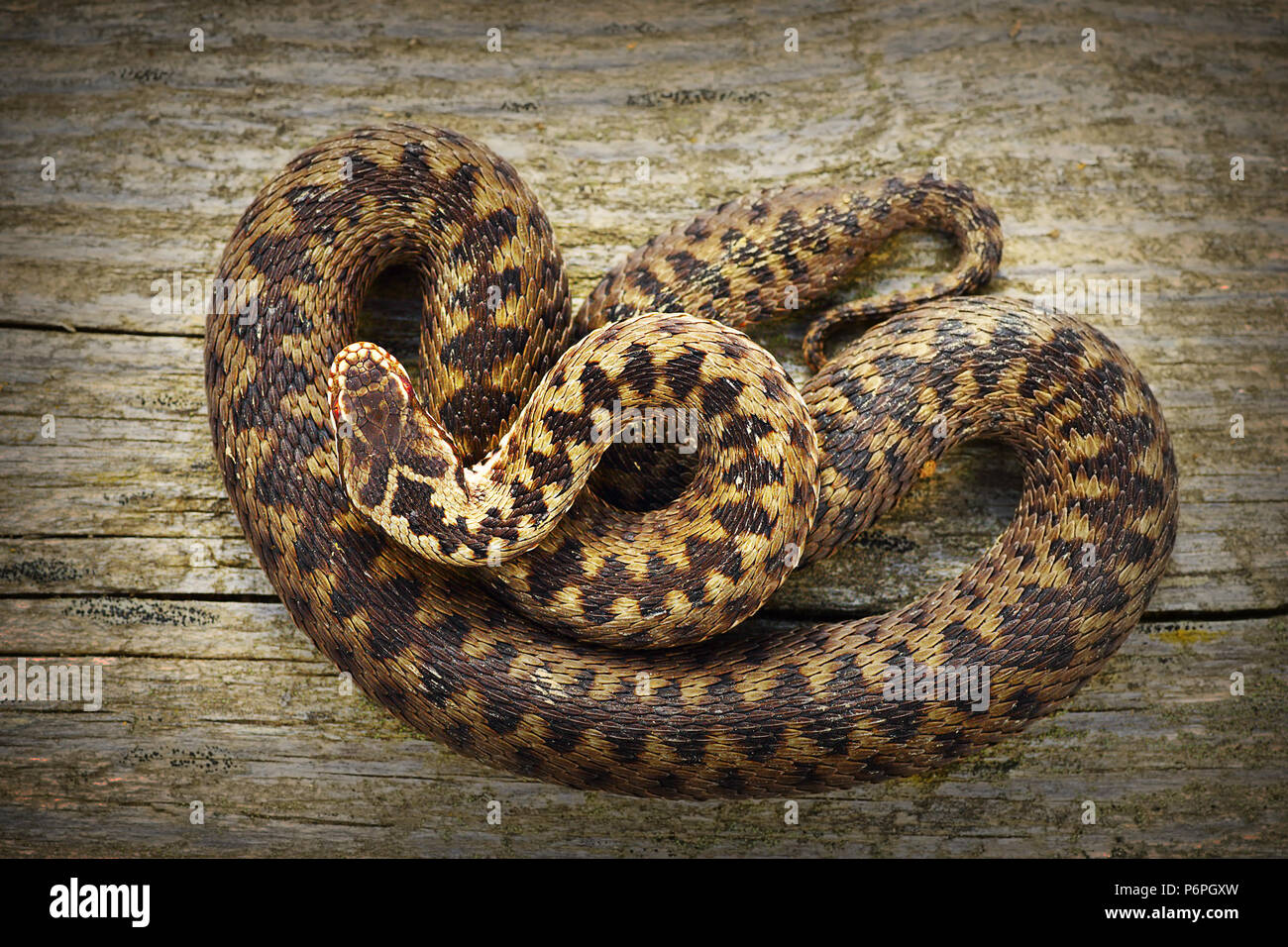 Full adder hi-res stock photography and images - Alamy