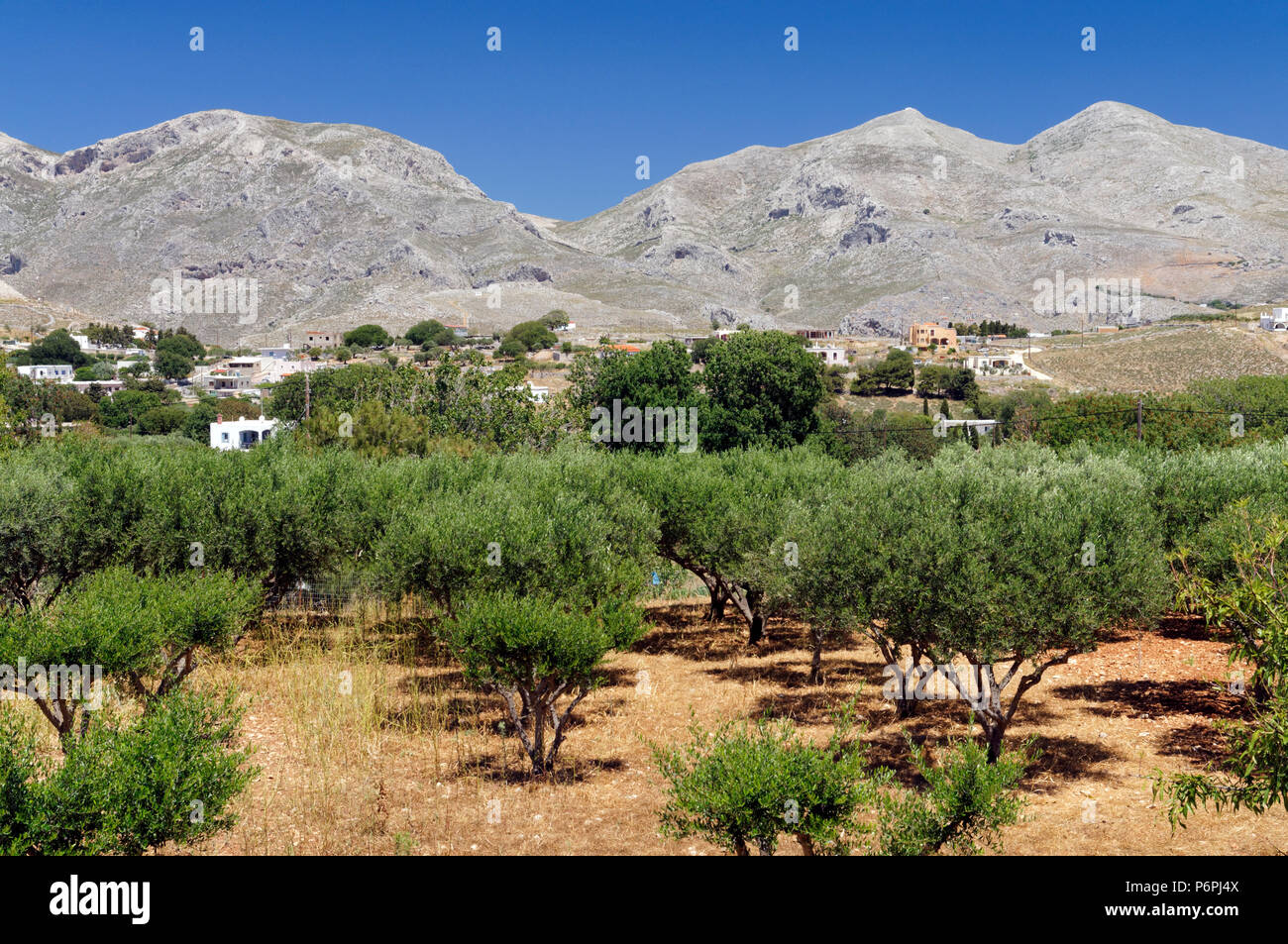 The fertile plateau of Argos surounded by mountains is used for the ...