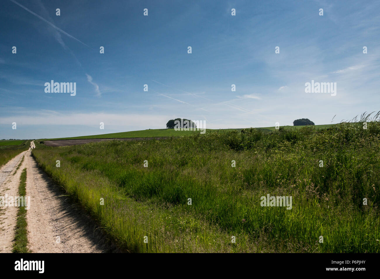 Chalkland plants hi-res stock photography and images - Alamy