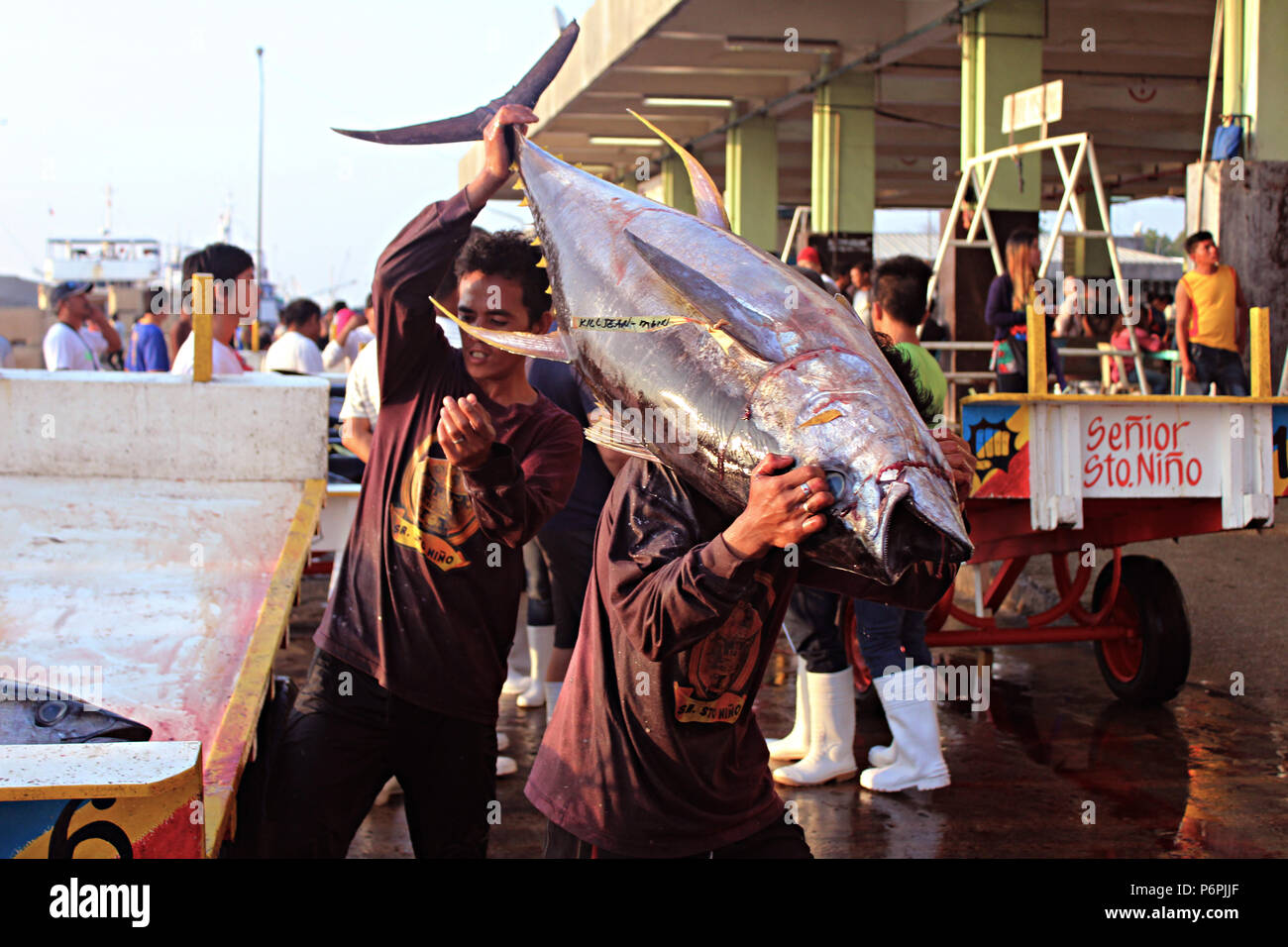 Working Men Carrying Big Tuna Fish Stock Photo - Alamy
