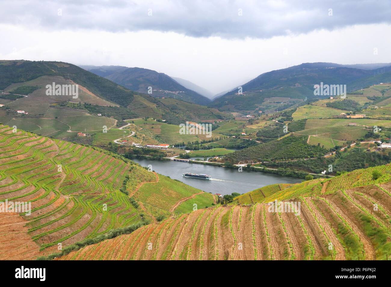 Douro river cruise in Portugal wine region - vineyards on hills along ...