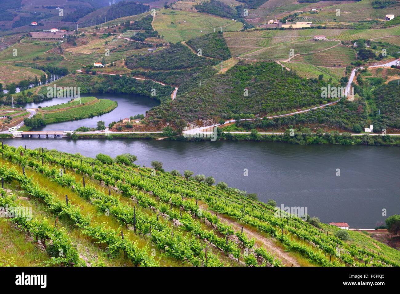 Portugal wine region - vineyards on hills along Douro river valley ...