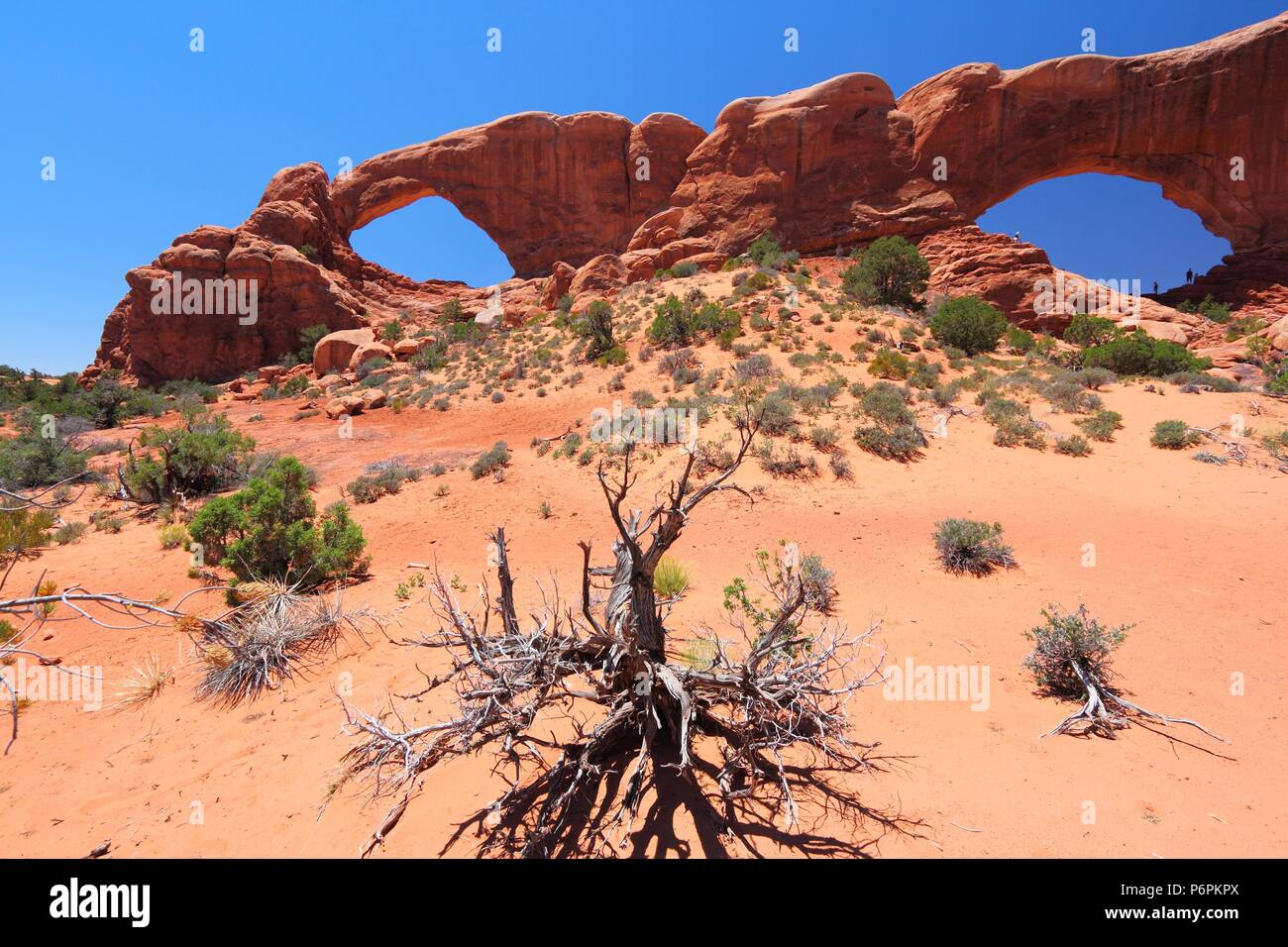 Famous windows hi-res stock photography and images - Alamy