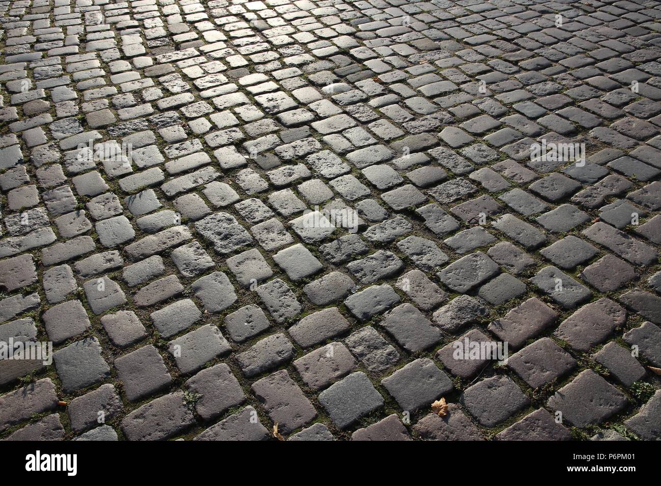 Grey backgrond hi-res stock photography and images - Alamy