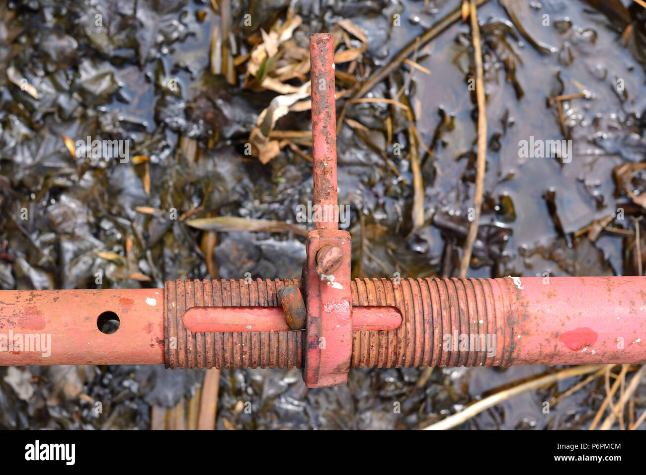 Plastic fragment in grass hi-res stock photography and images - Alamy