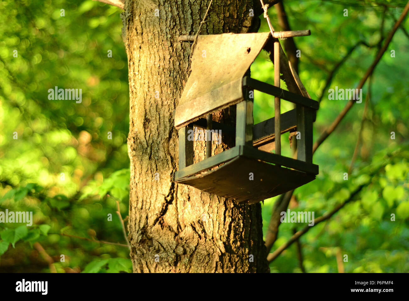 Abstract composition for designers with nesting box between tree ...
