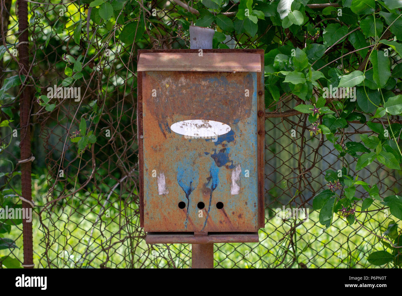 Abstract image texture for designers with iron mailbox with free zone ...