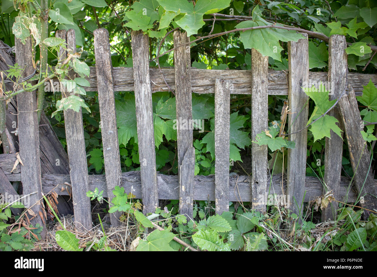 Abstract image texture for designers with fragment of broken wooden ...