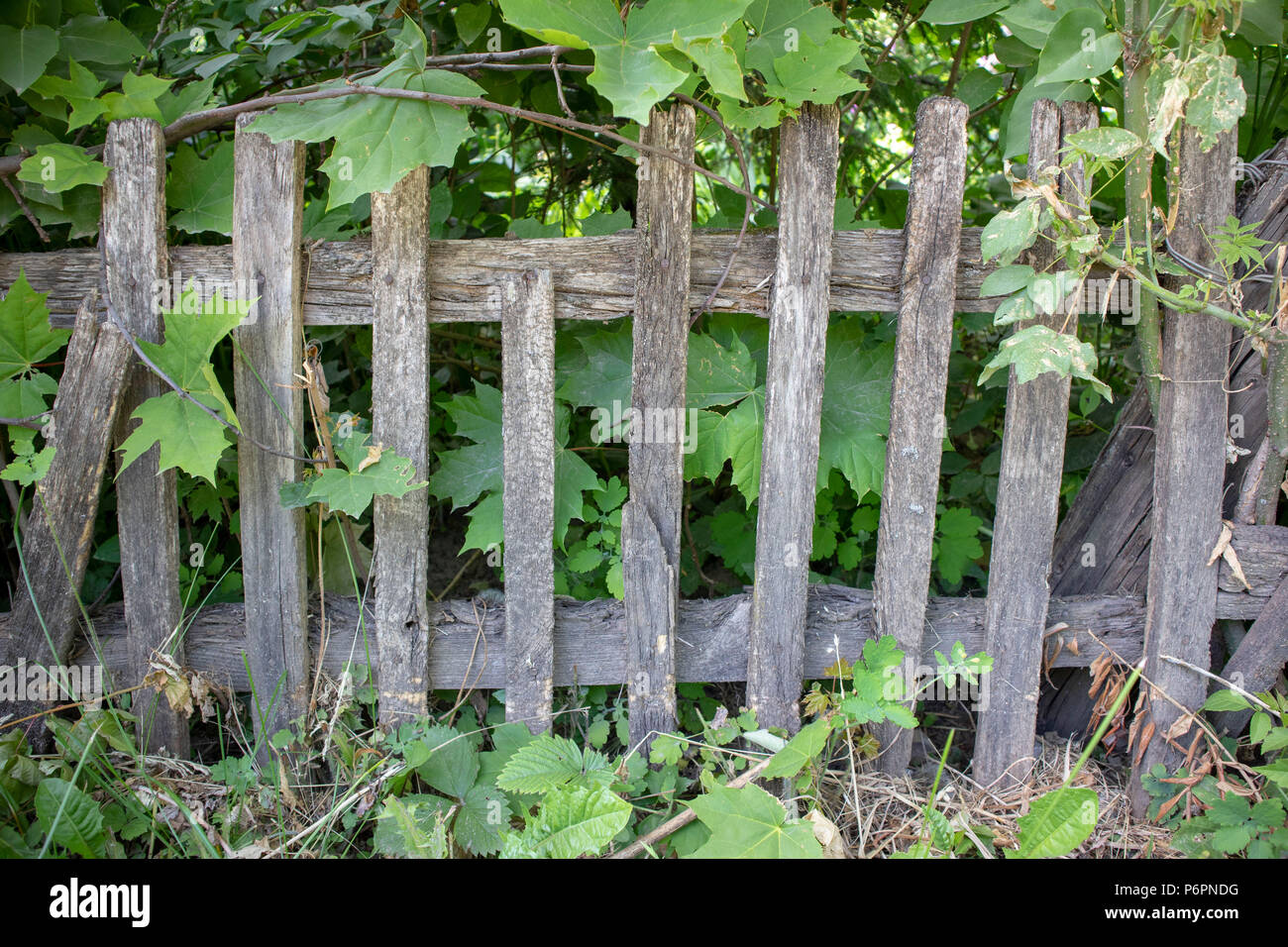 Abstract image texture for designers with fragment of broken wooden ...