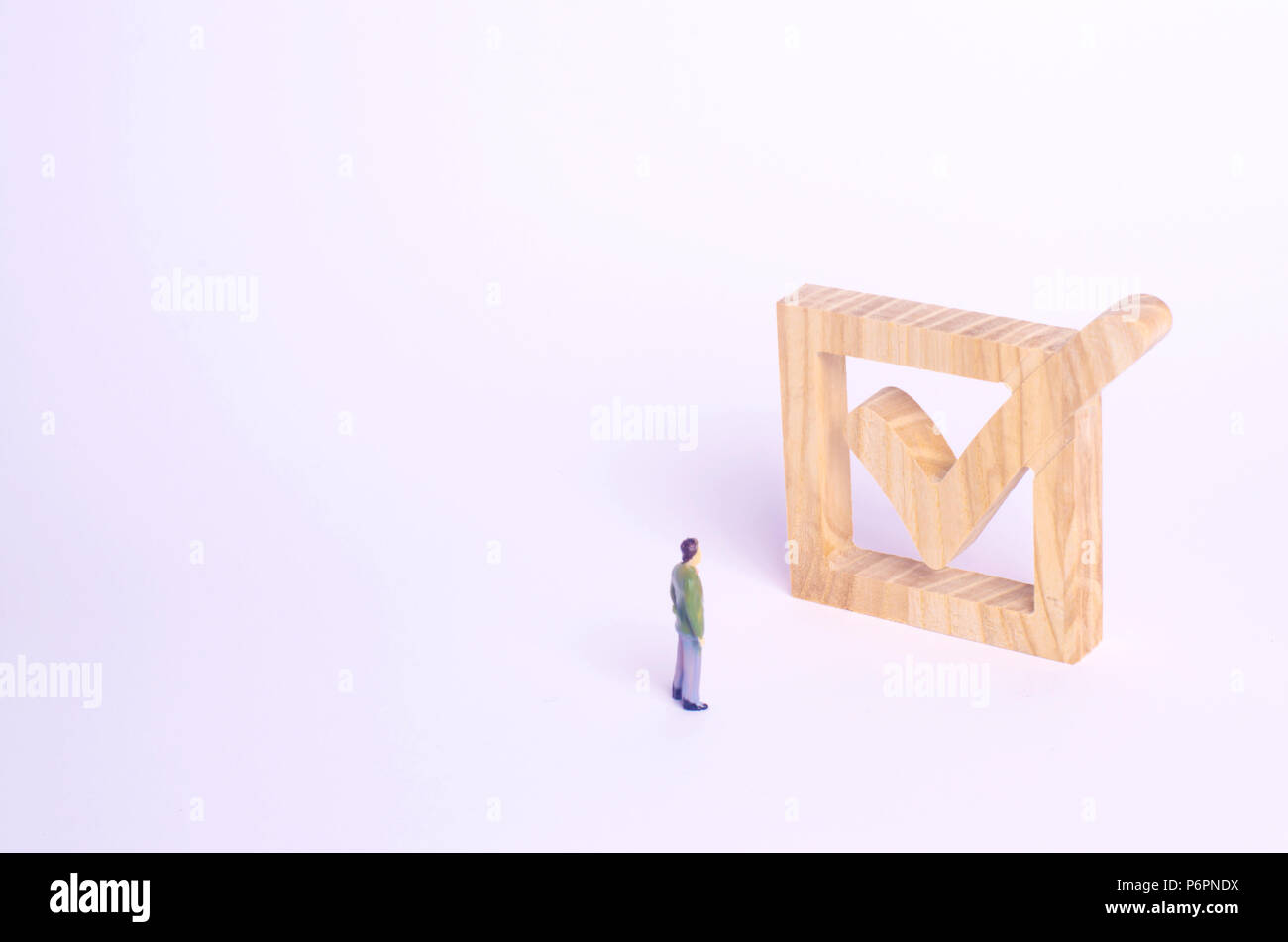 human figure stand next to a tick in the box. The concept of elections ...